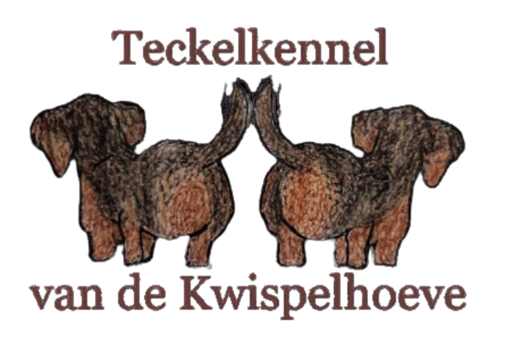 Home - Teckel Kennel van de Kwispelhoeve